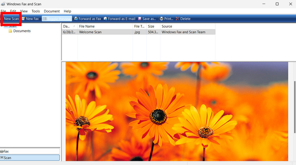 Digitize Your Library: How to Scan a Book to PDF