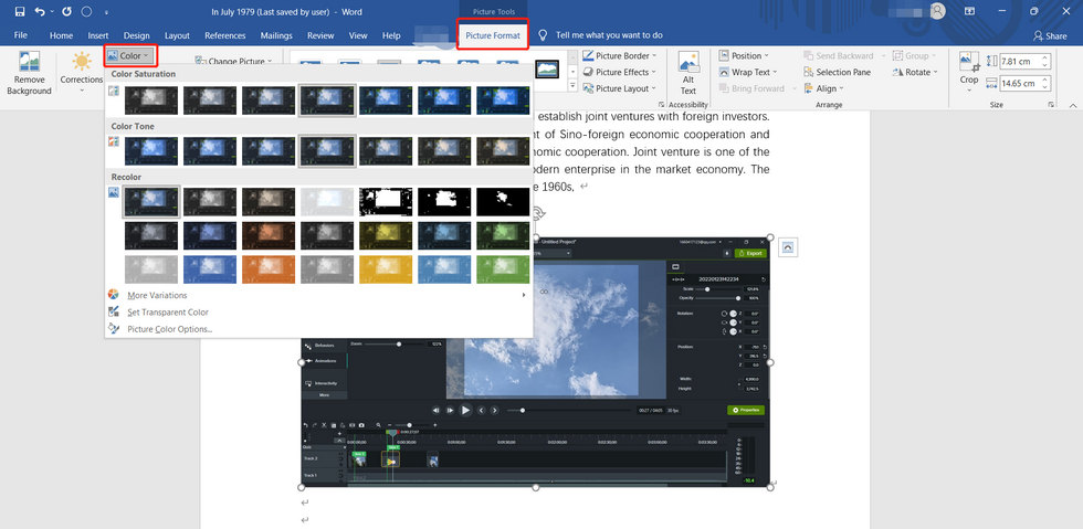 How To Edit A Picture In Word In 2023 Insert Edit Convert 